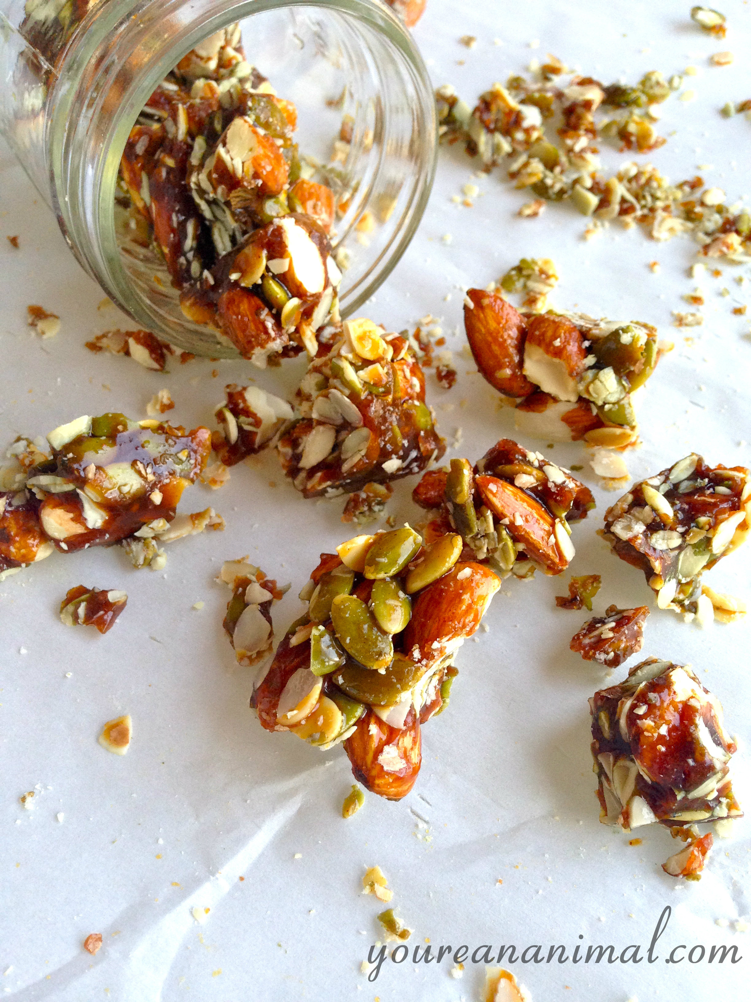 Honey Maple Almond Clusters (White Sugar-Free) – Nourish Wild